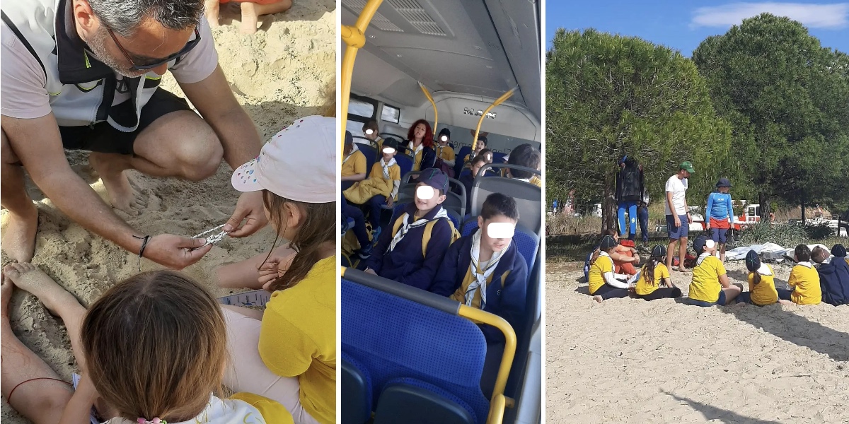 Τα Πουλιά του ΣΕΟ Σκιάθου στο Skiathos Palace Cup 2023 με την στήριξη ...